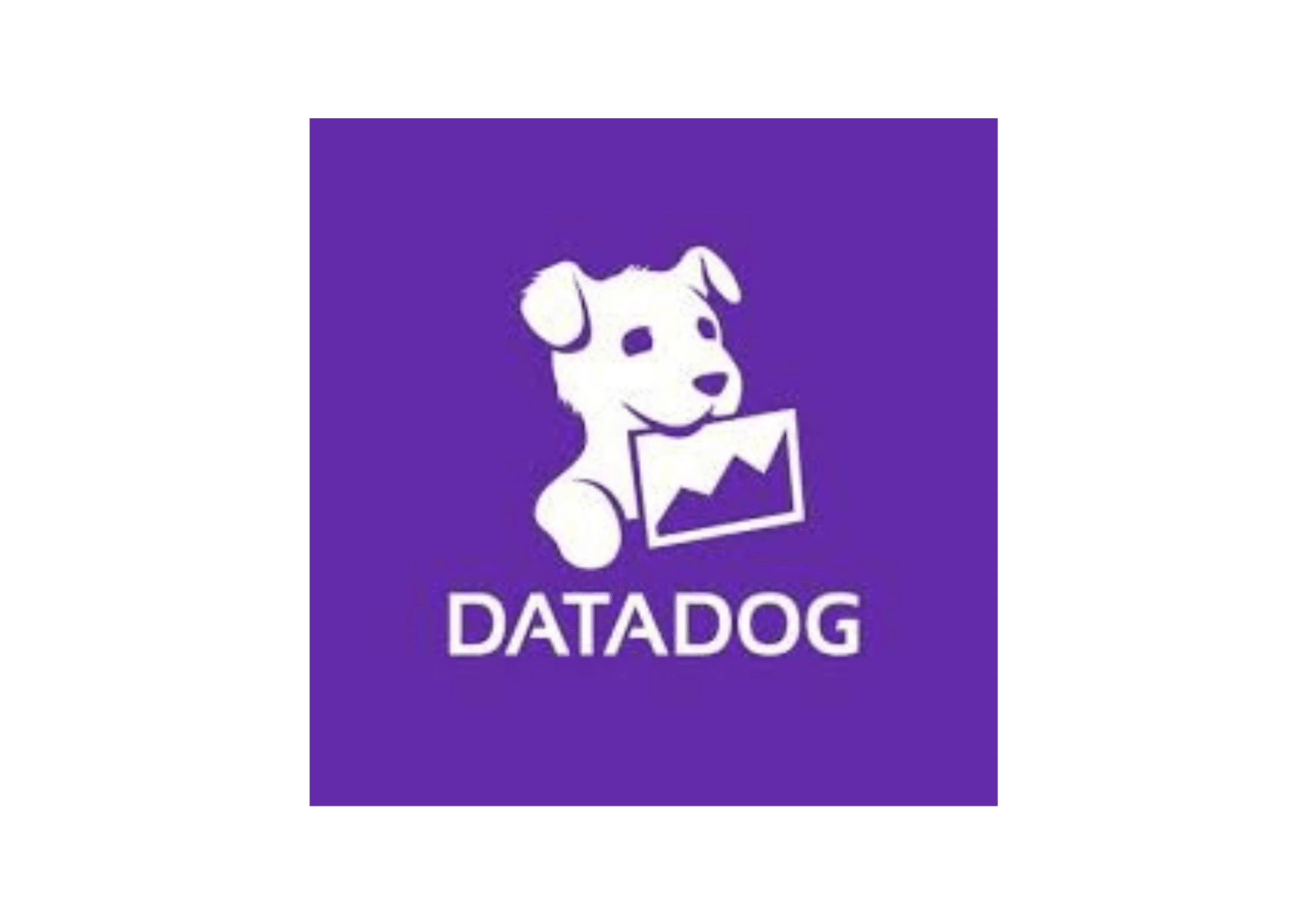 Datadog Custom Log Integration: A Comprehensive Guide